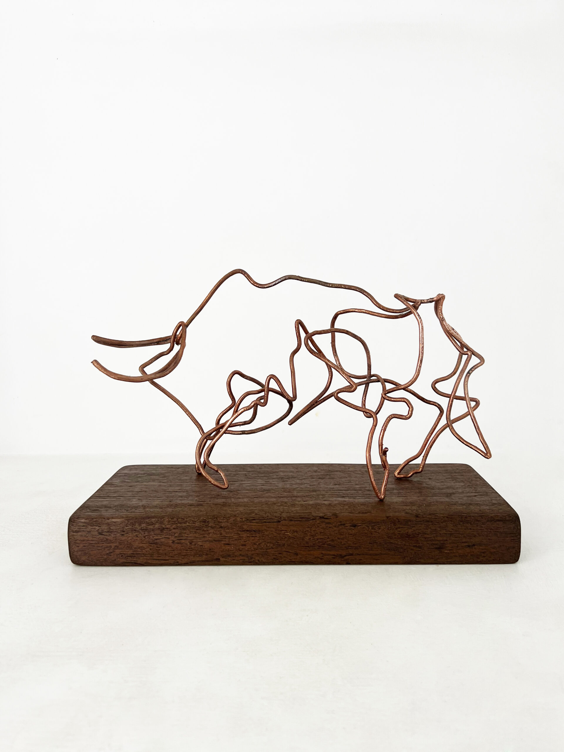 Fred Clark | First 3D Printed Bull